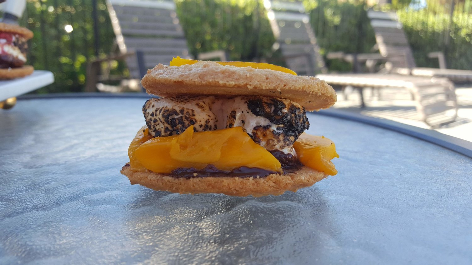 14 Gourmet S'mores Recipes — The Sweet Savory Life