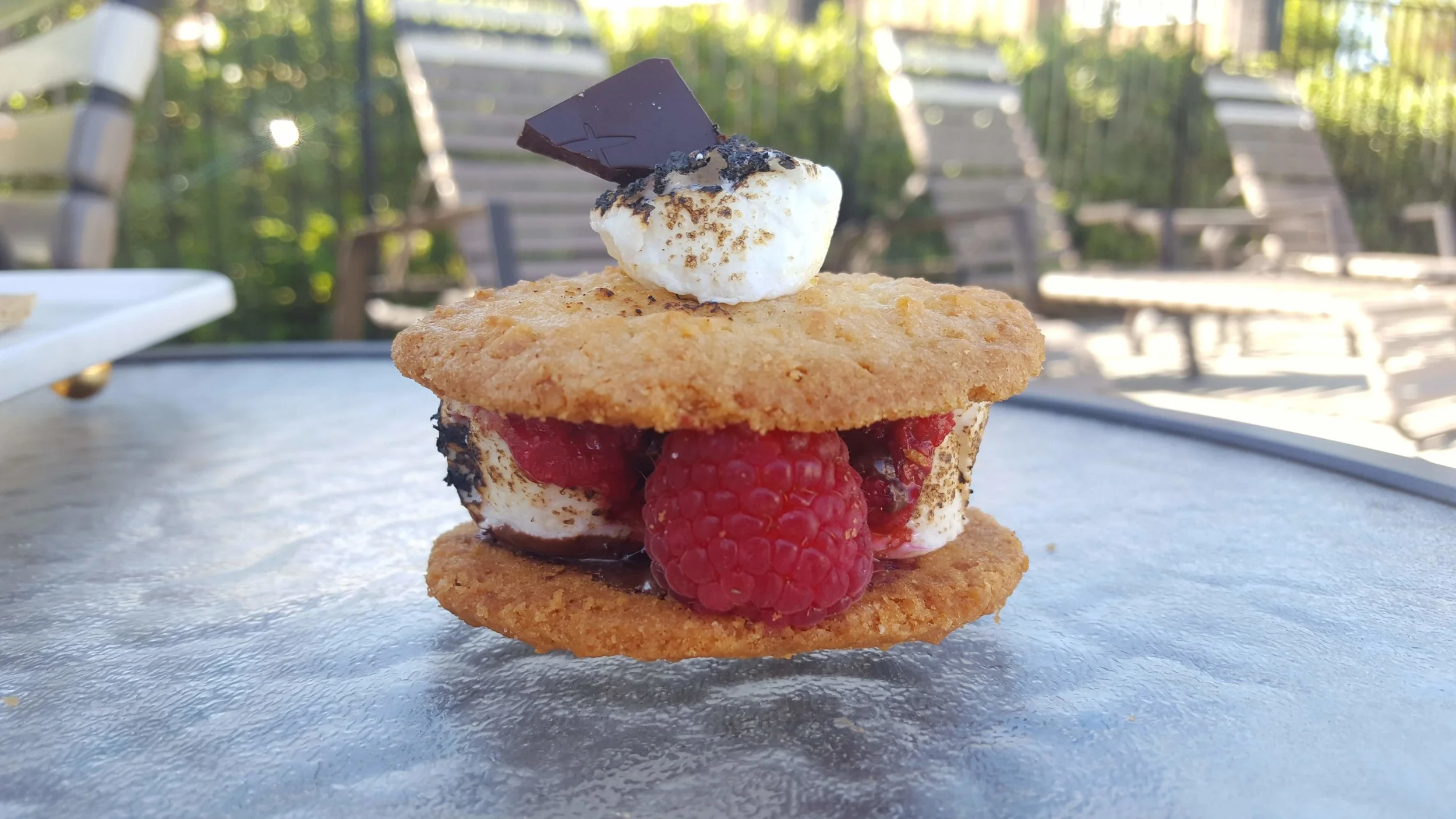 14 Gourmet S mores Recipes The Sweet Savory Life