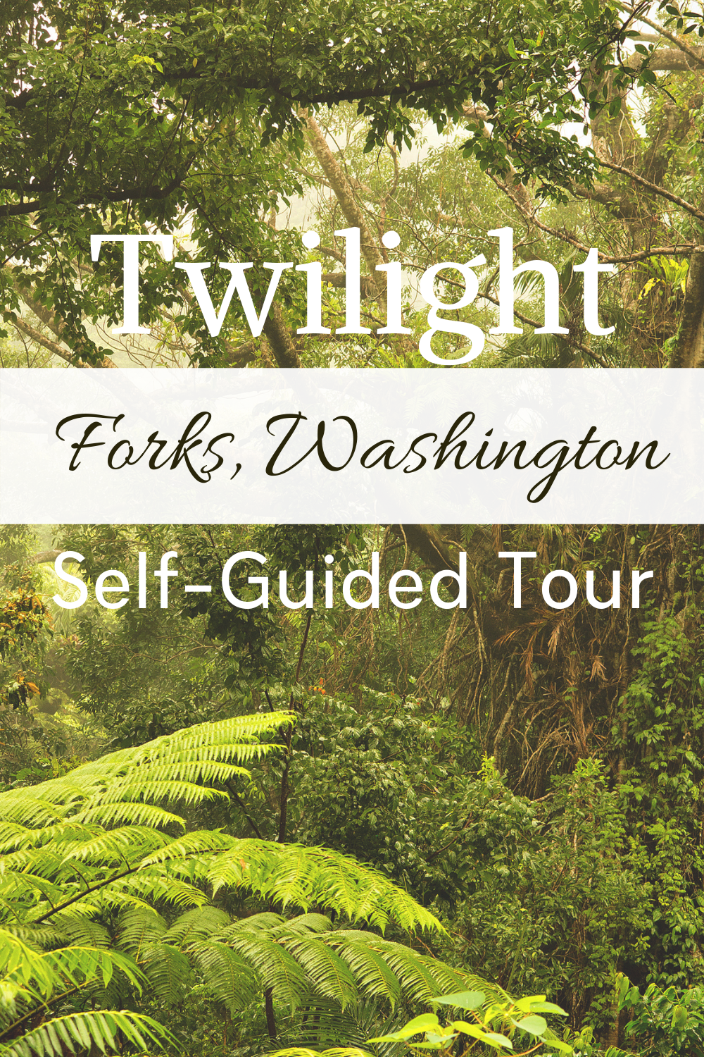 Twilight Forks