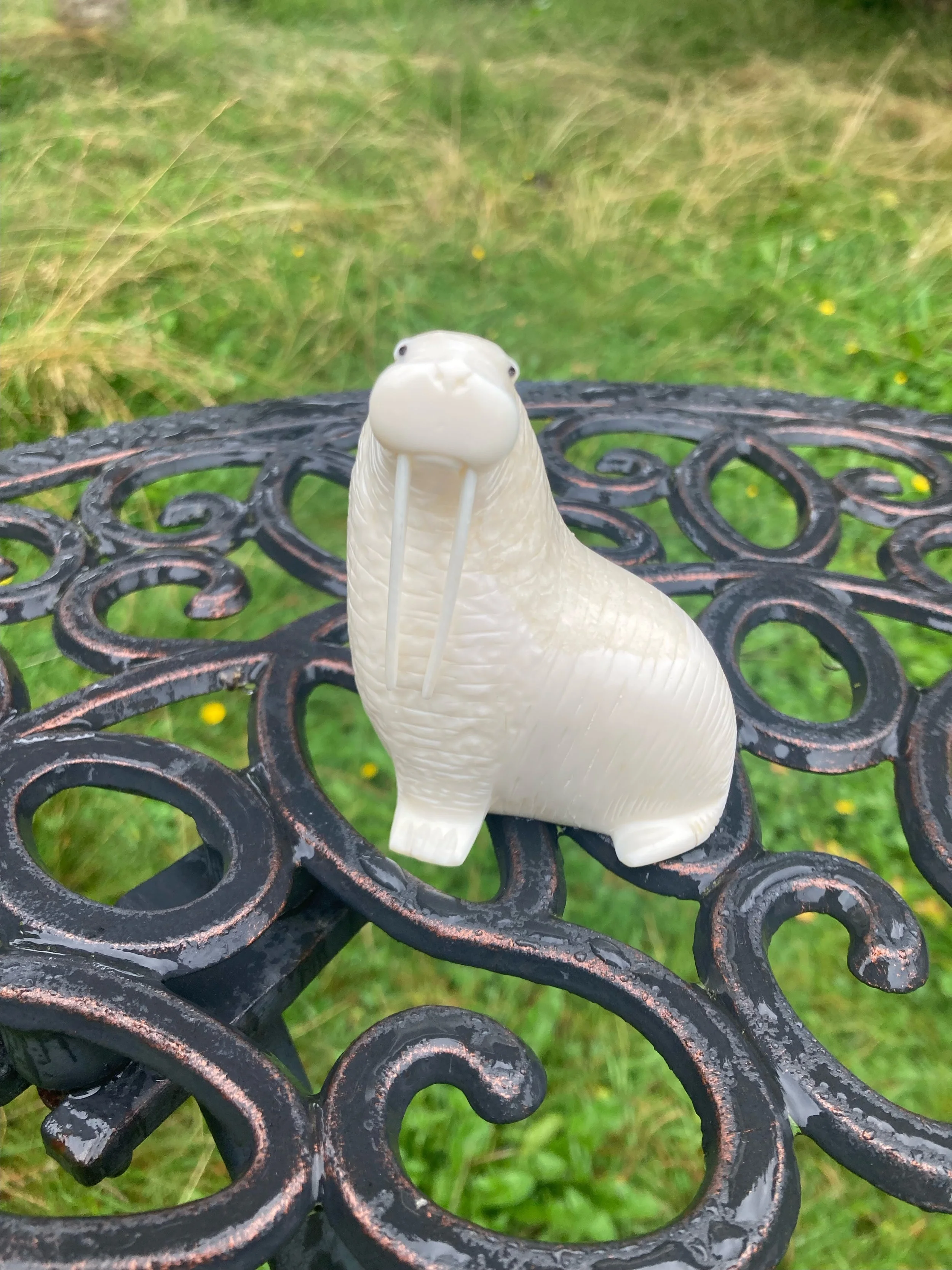 Shop — Sitka Rose Gallery