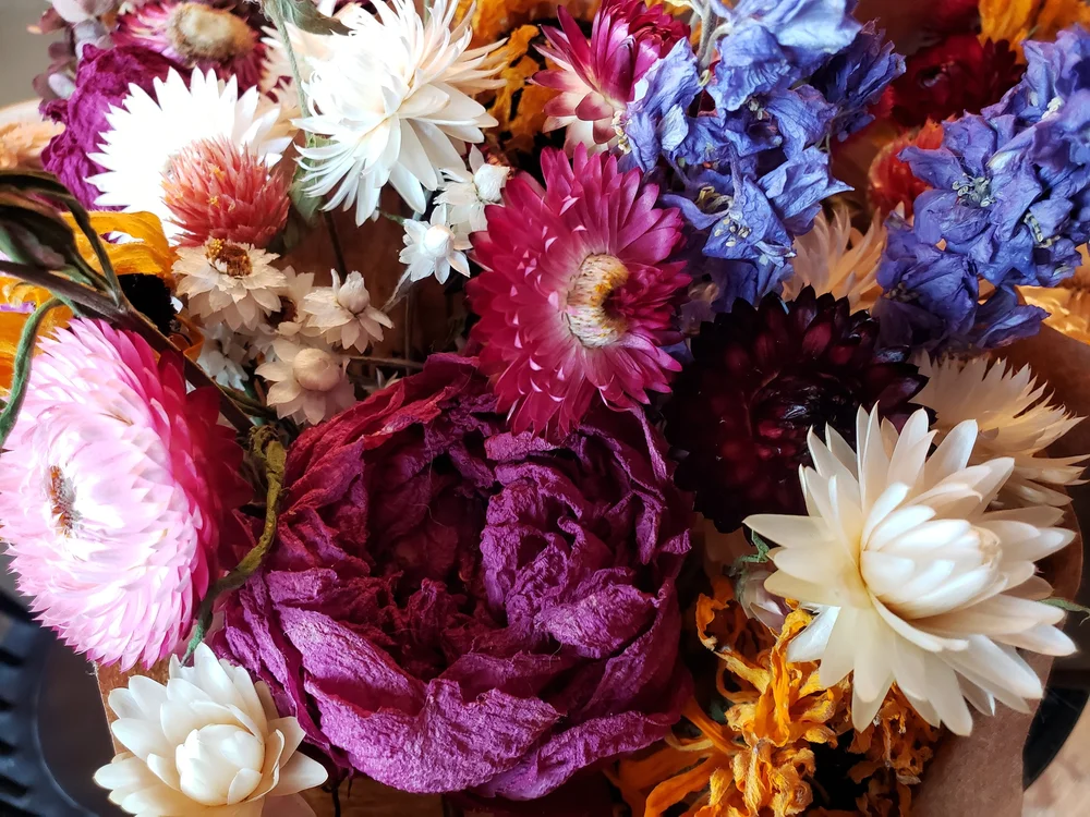 How to Take Care of Your Dried Flowers — Rusty Bell Farm and Garden