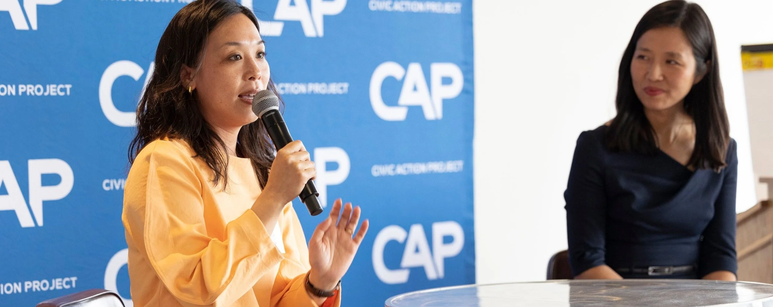 CAP — Civic Action Project