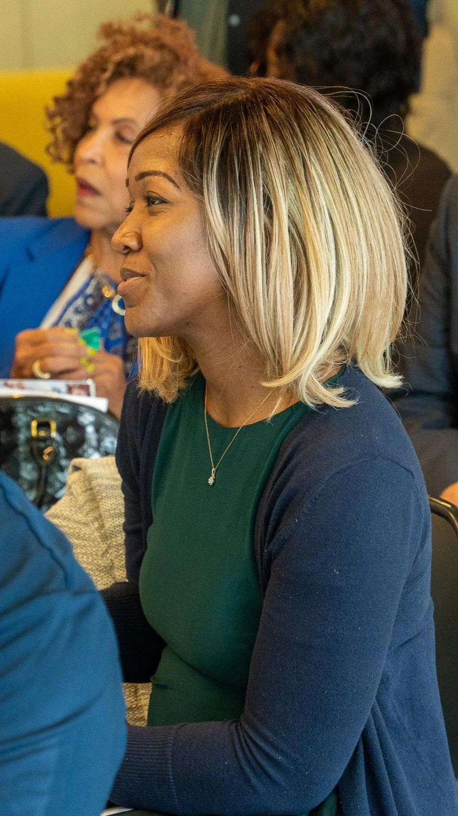 CAP — Civic Action Project