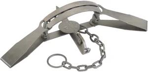 Bear Traps — Duke Traps