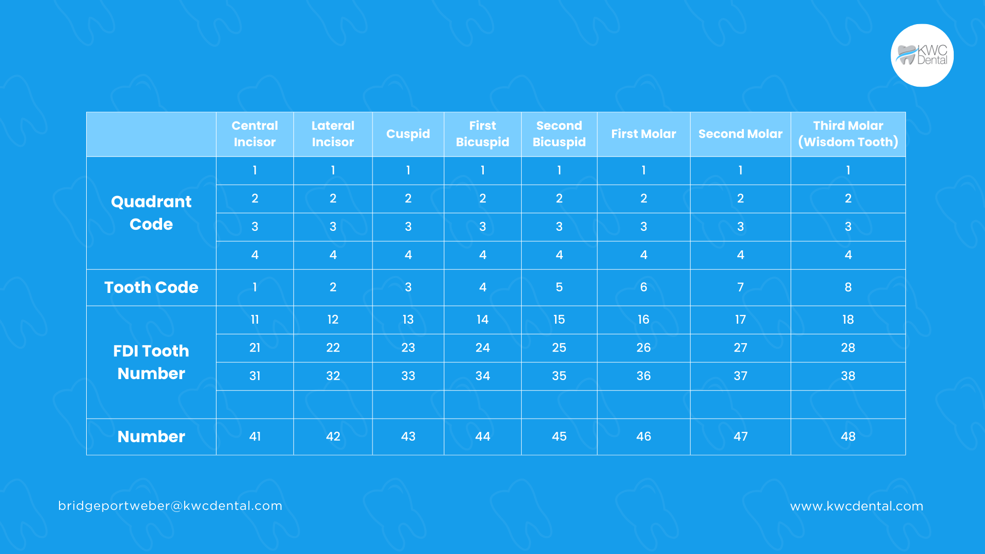 The Complete Guide To Tooth Numbering System — KWC Dental