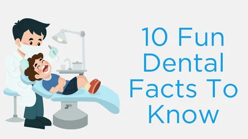Fun Dental Facts That Will Surprise You! | KWC Dental — KWC Dental
