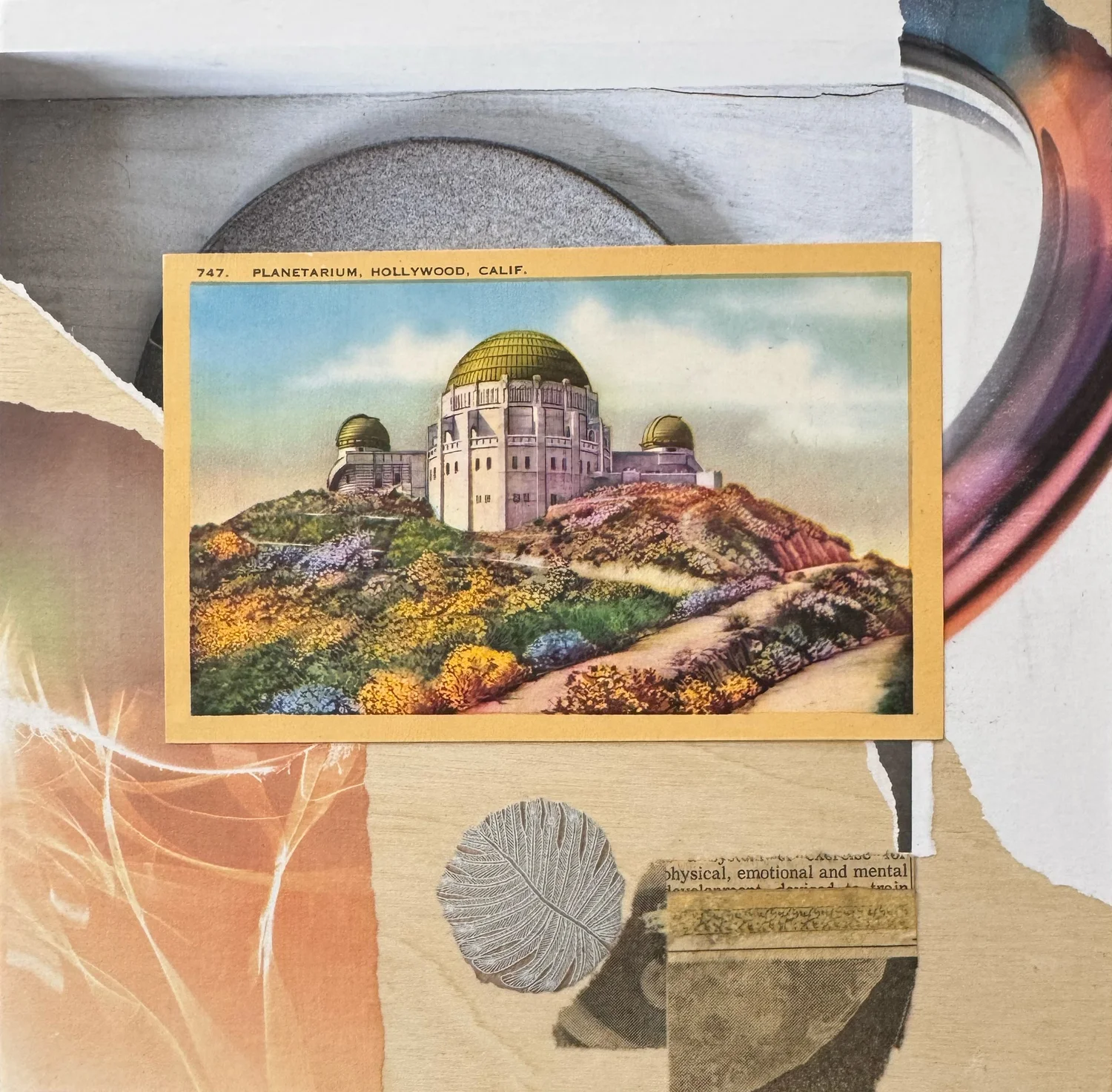 Exhibitions / Events — Janice McDonald Art/Collage