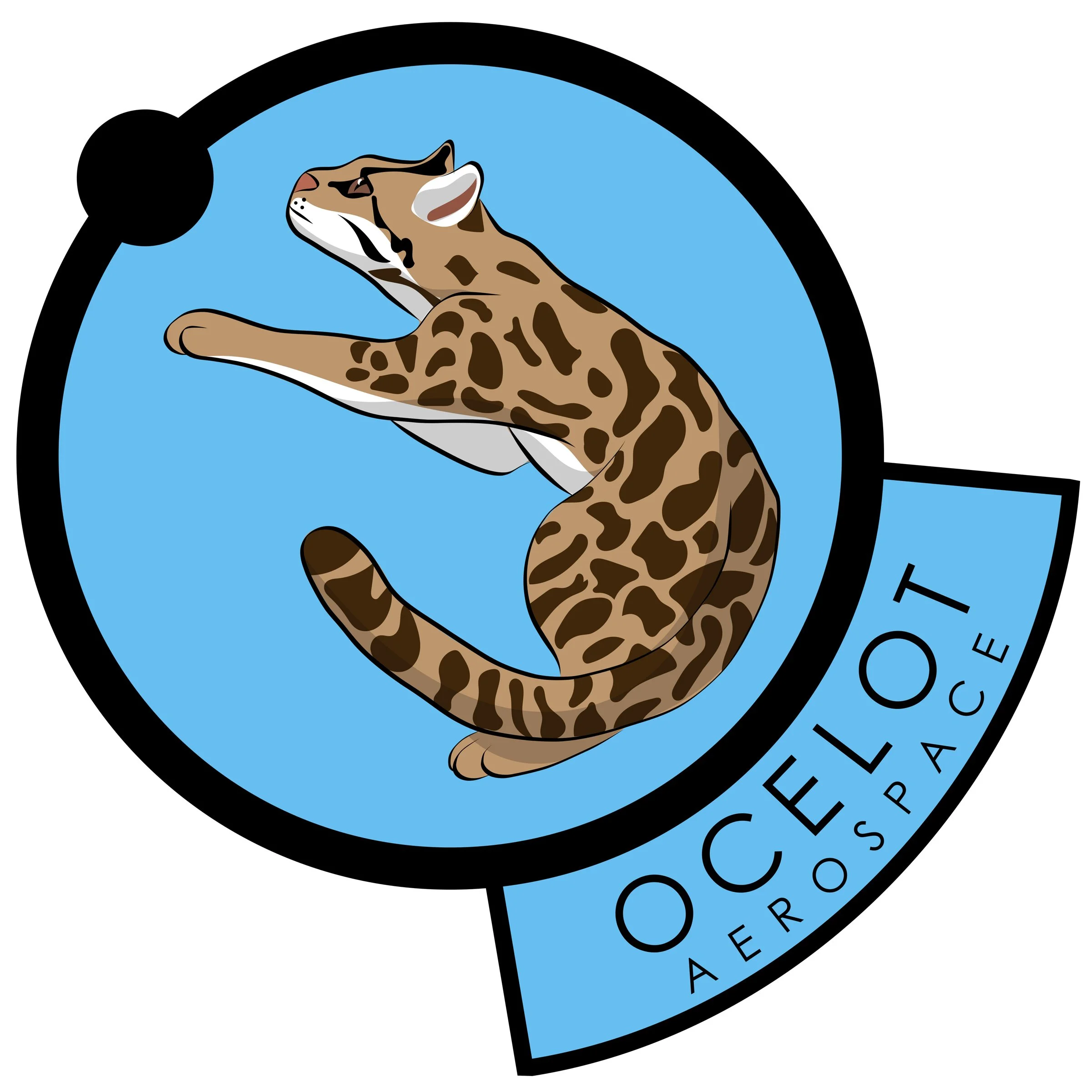 ocelot aerospace — Eniac Design Group