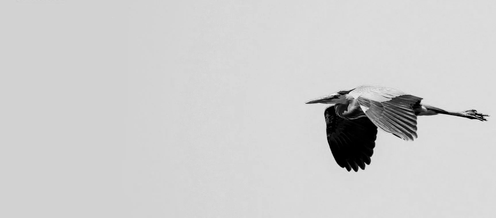 INCOSE Chesapeake Chapter