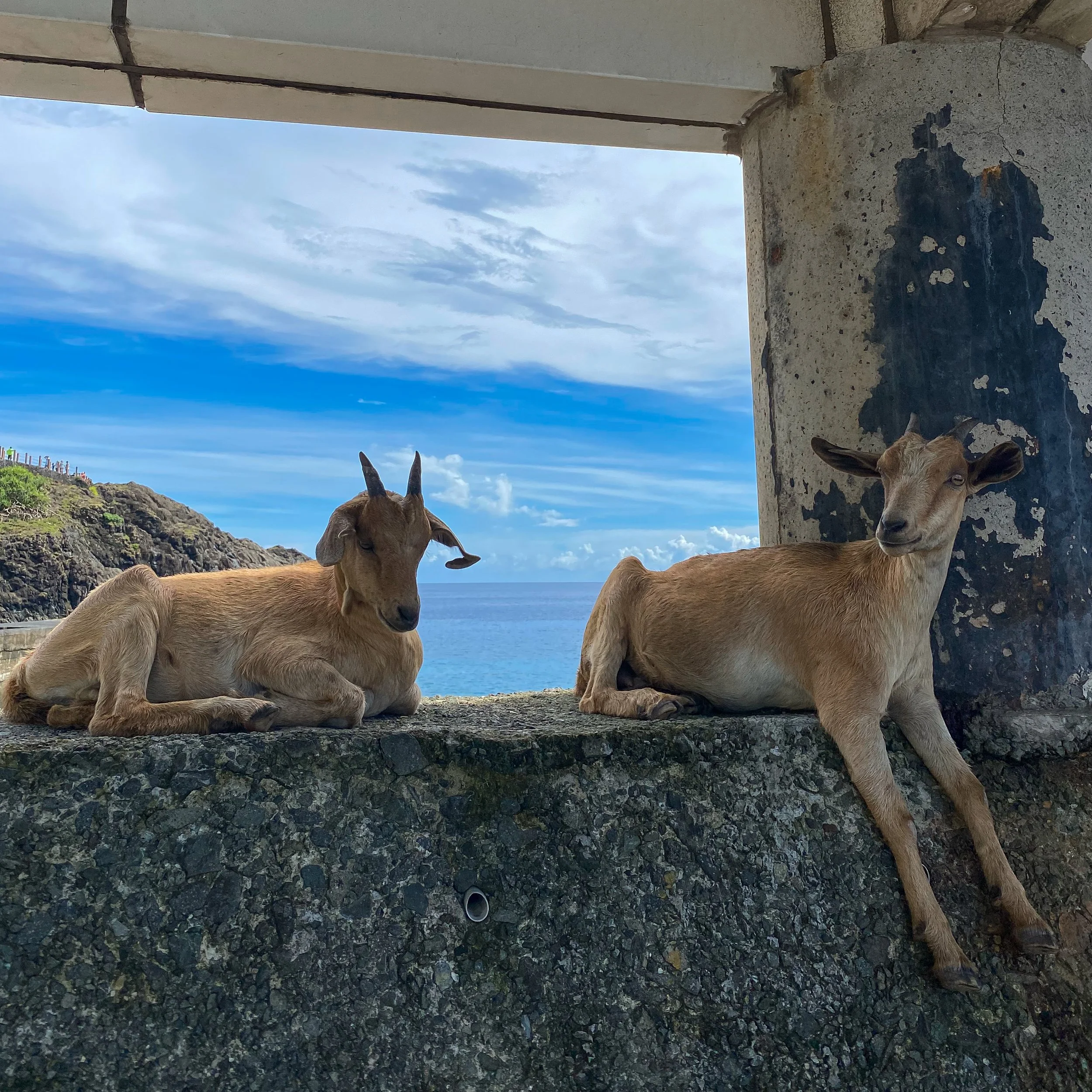 Lanyu, Orchid Island, Taiwan Travel Guide | Slow Travel | Conscious ...