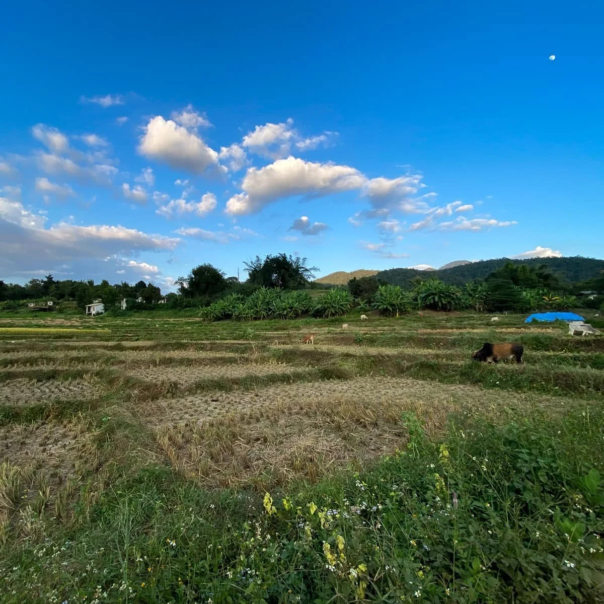 1 Month Thailand Itinerary (Key Destinations & Travel Route) — The ...