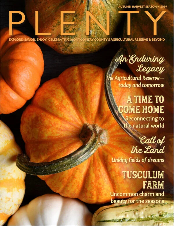 Magazines — PLENTY