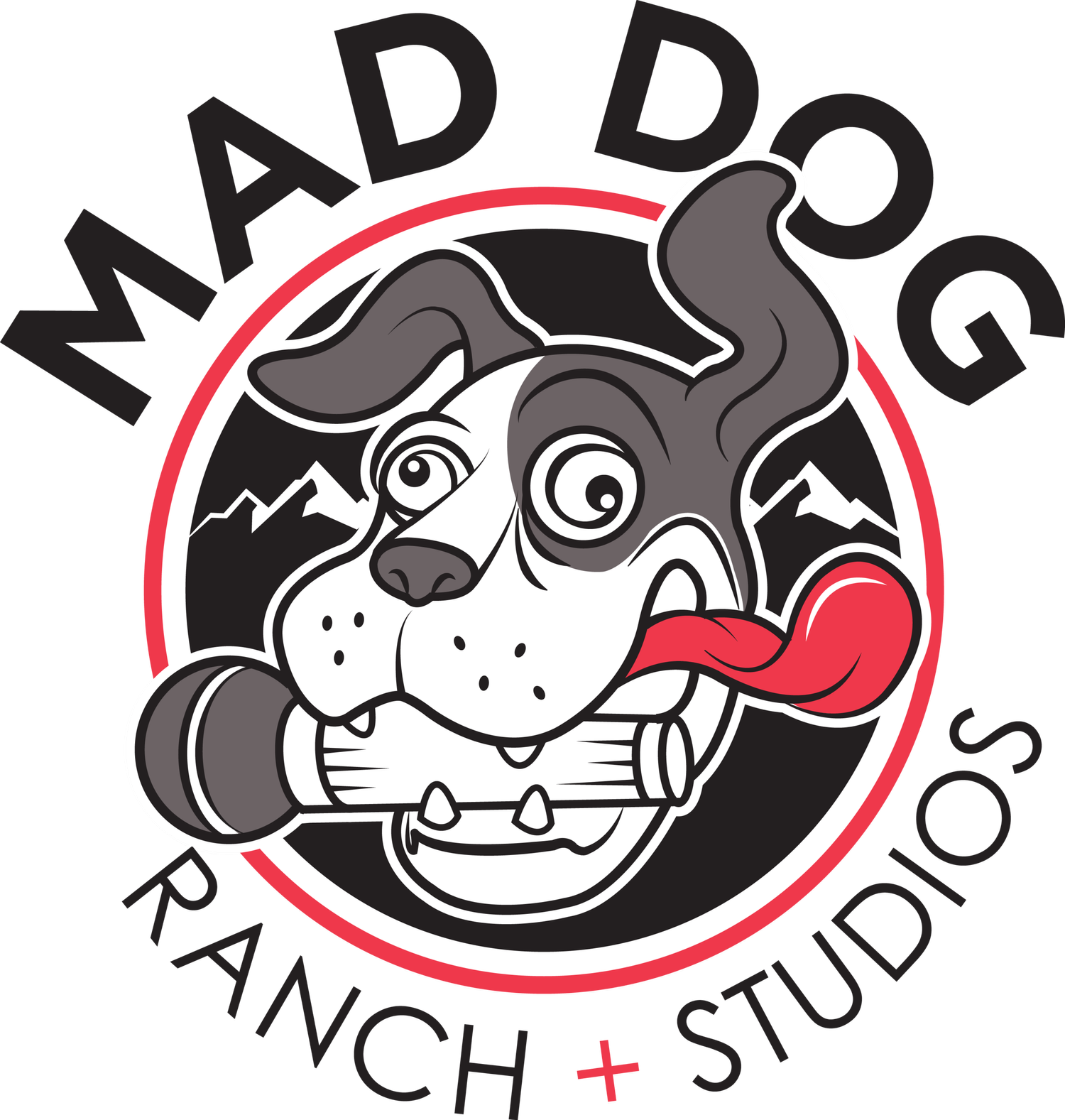 Mad Dog Ranch + Studios