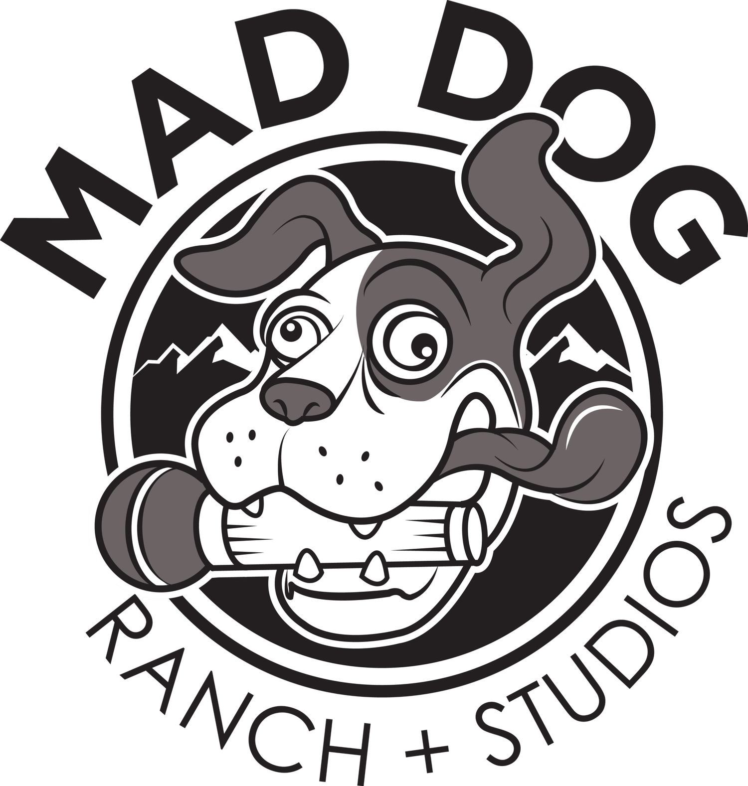 Mad Dog Ranch + Studios