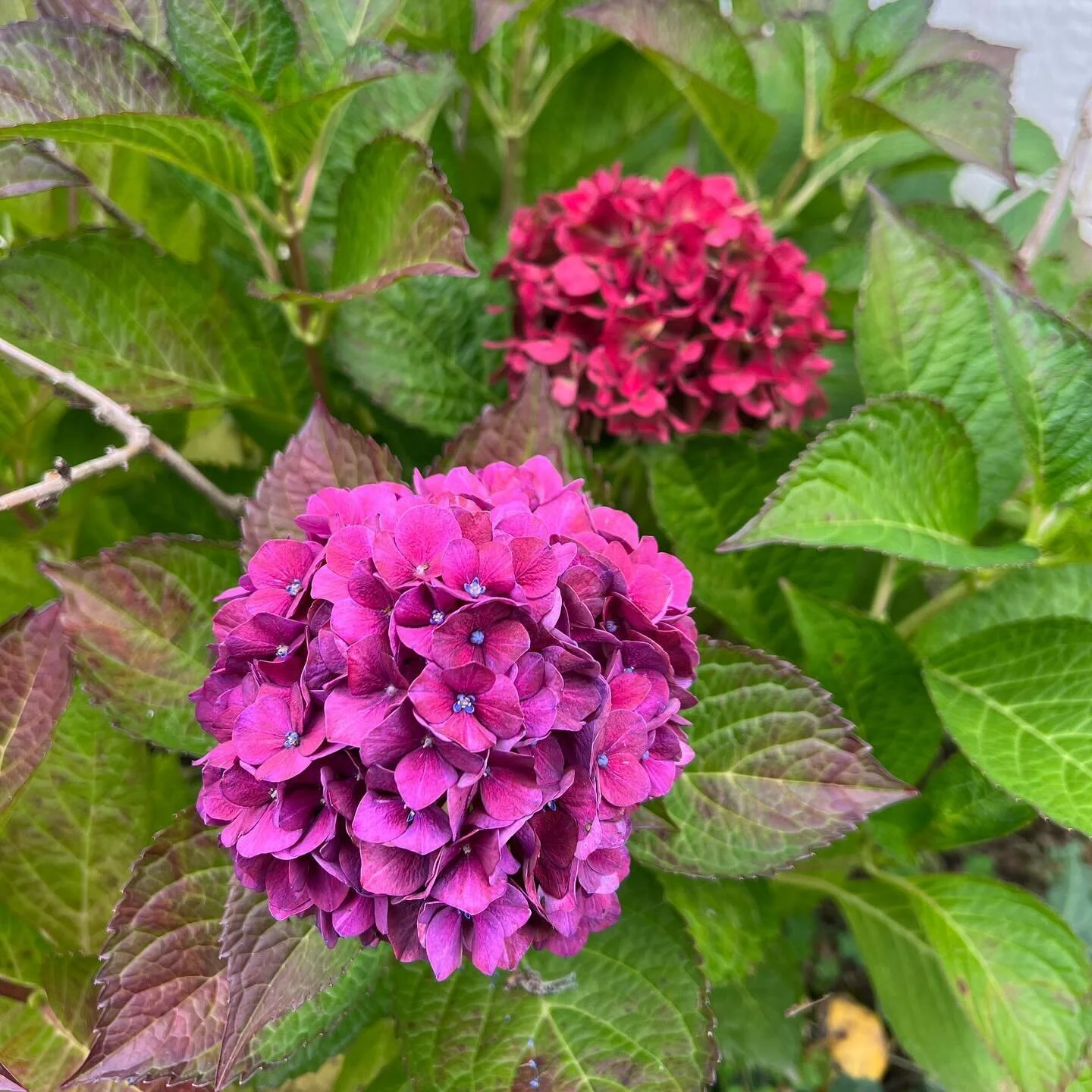 About — Kelsey Rodkey