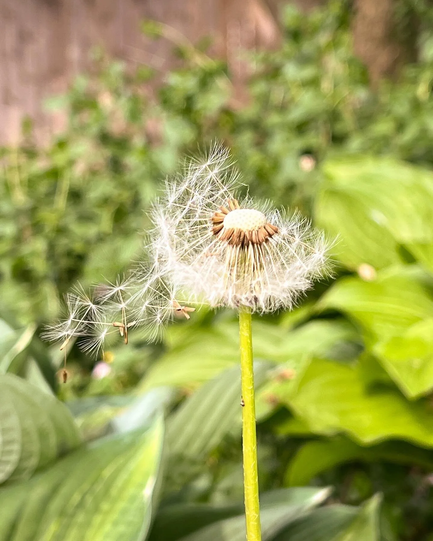 About — Kelsey Rodkey