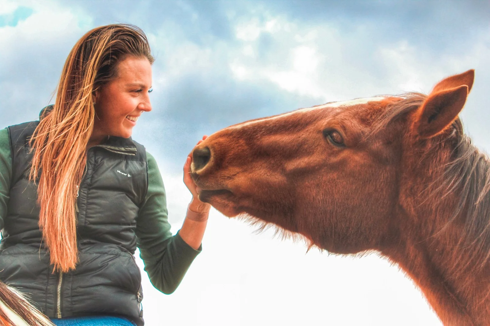 Spoiler Alert: You Can Actually Talk To Your Horse — Harmonized ...