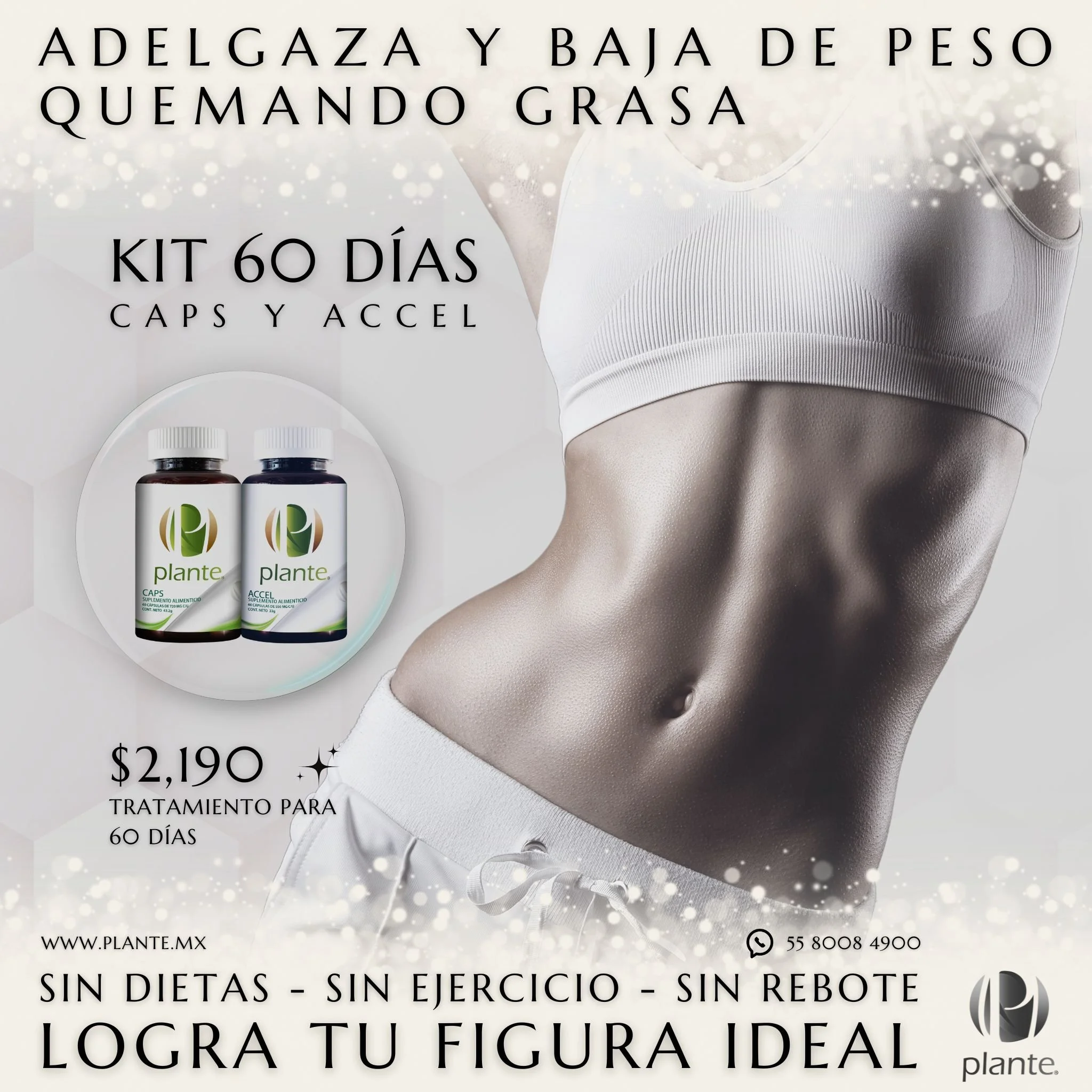 Plante — Logra que tu cuerpo vuelva a estar delgado, atractivo y saludable.