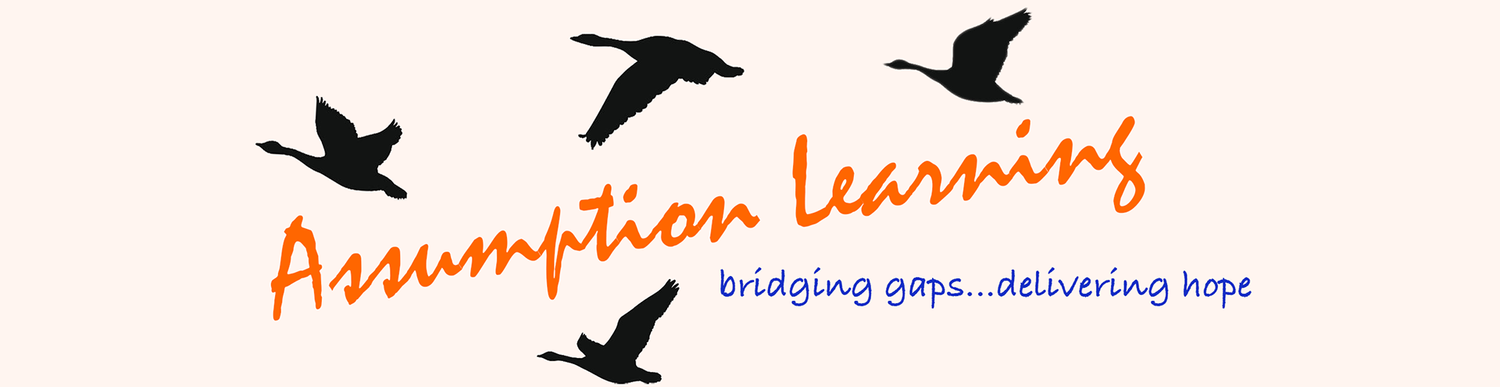 Assumption Learning | Brain Training & Therapy for Children