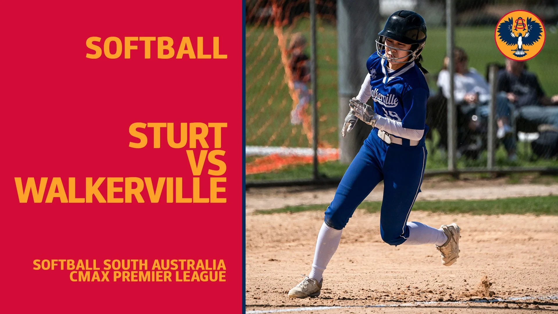 Softball | Spacequake Sports