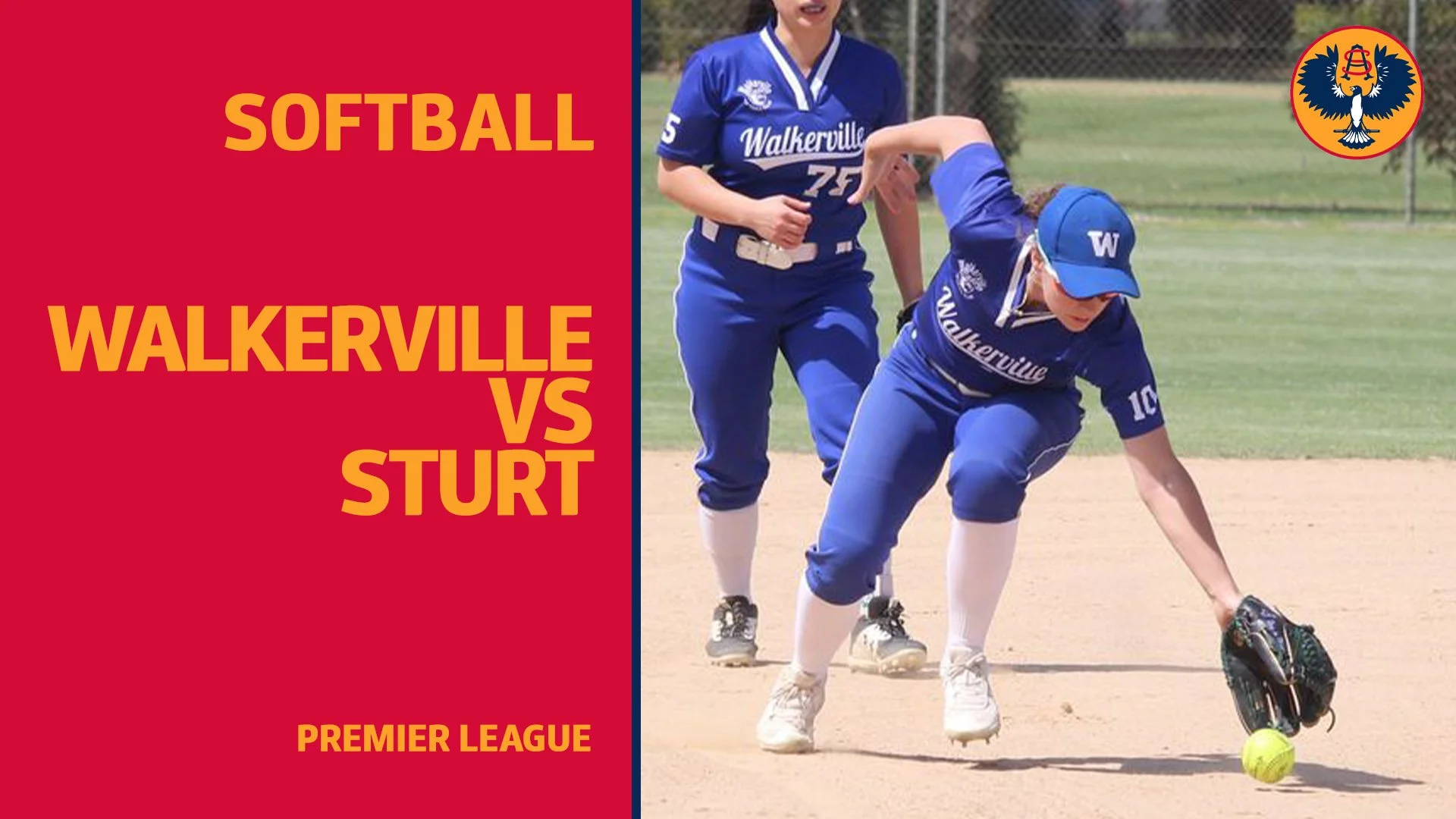 Softball | Spacequake Sports