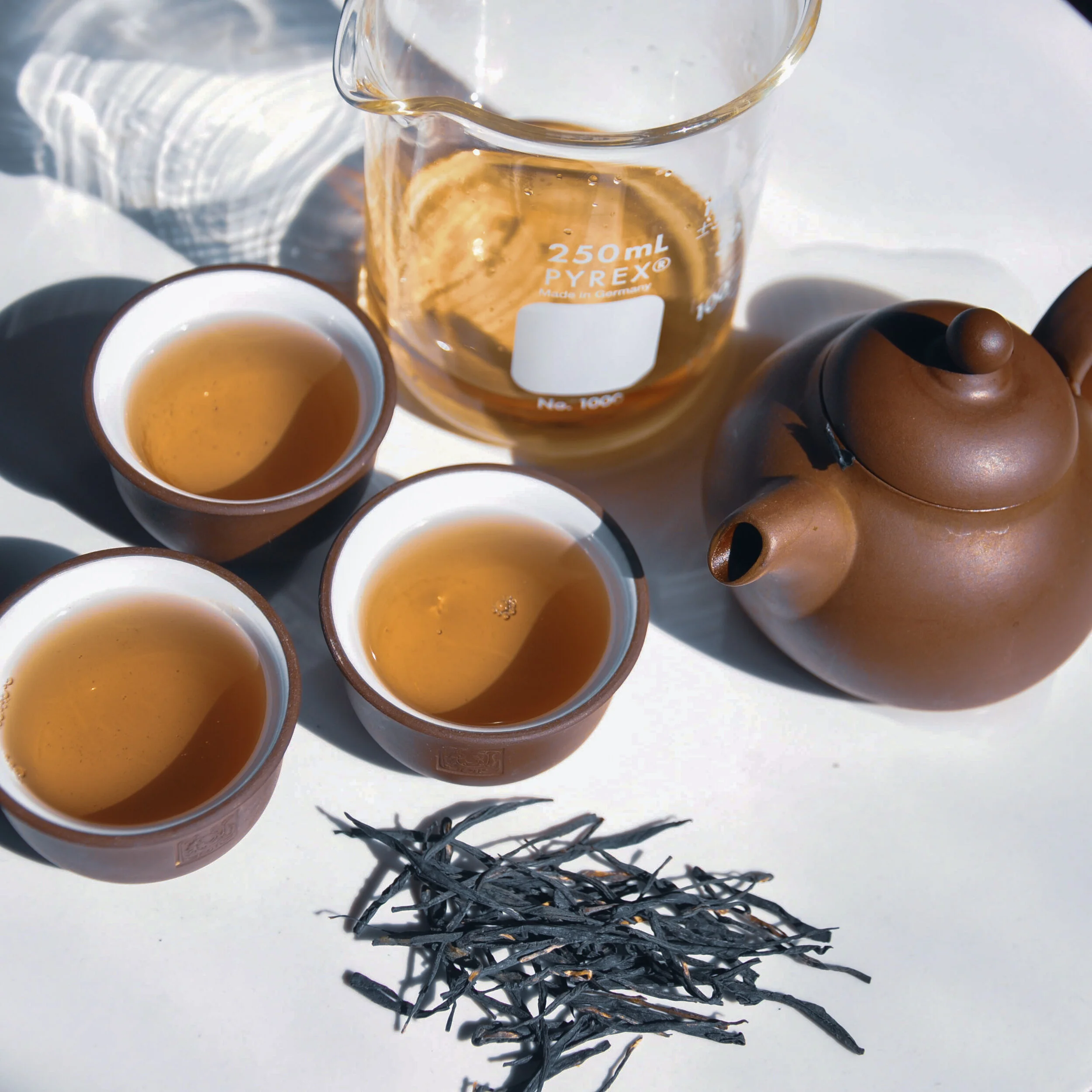 Pasha Mountain Dashu Sheng Pu'erh 2019 — The Tea Practitioner