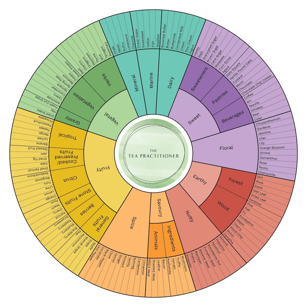 How to Taste Tea & Tea Flavour Wheel — The Tea Practitioner