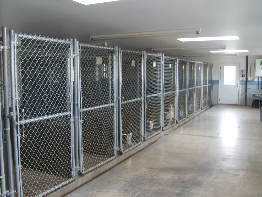 Northwest K-9 Inn and Spa