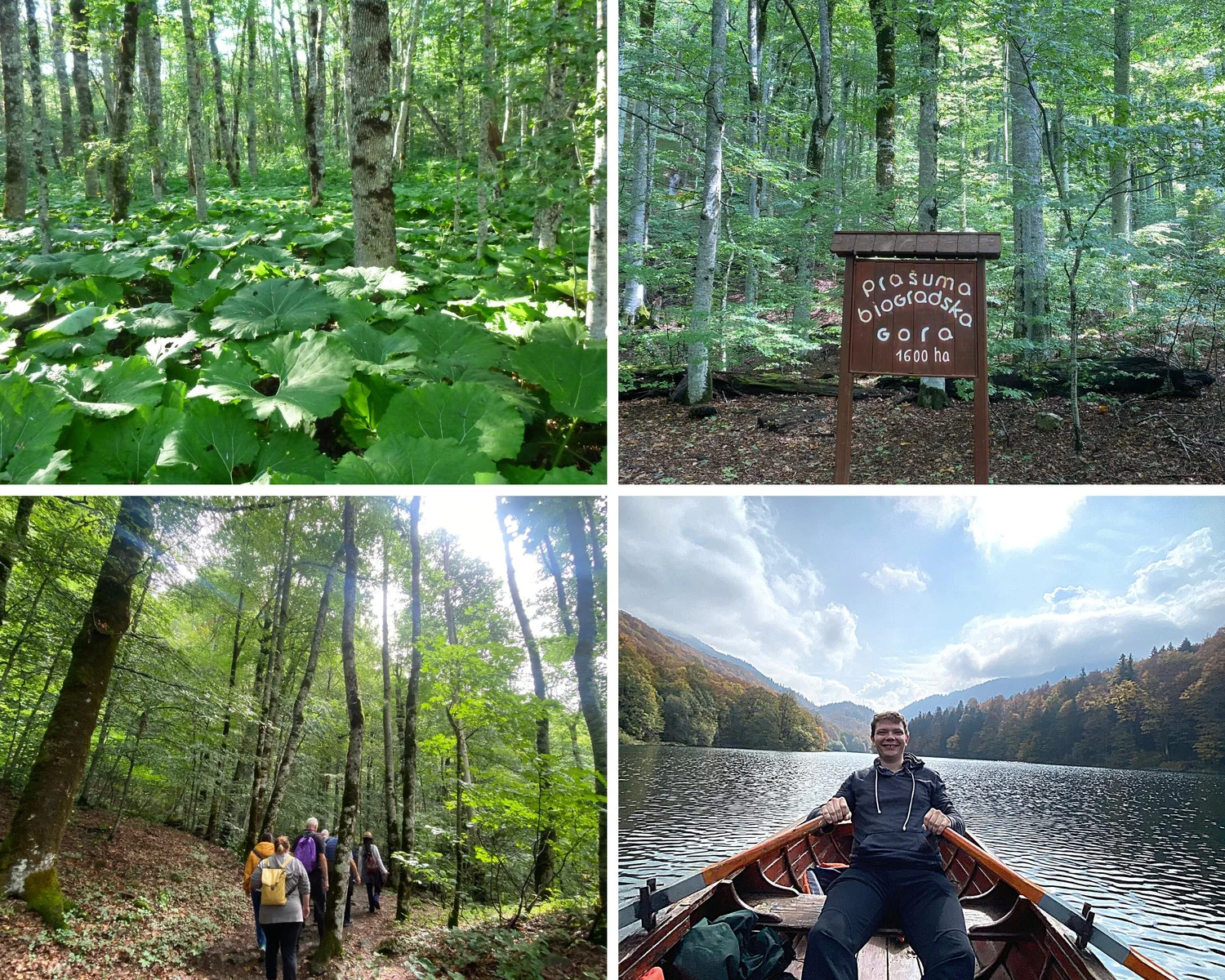 Top 12 Natural Wonders to Visit in Montenegro — Caeli travel ...