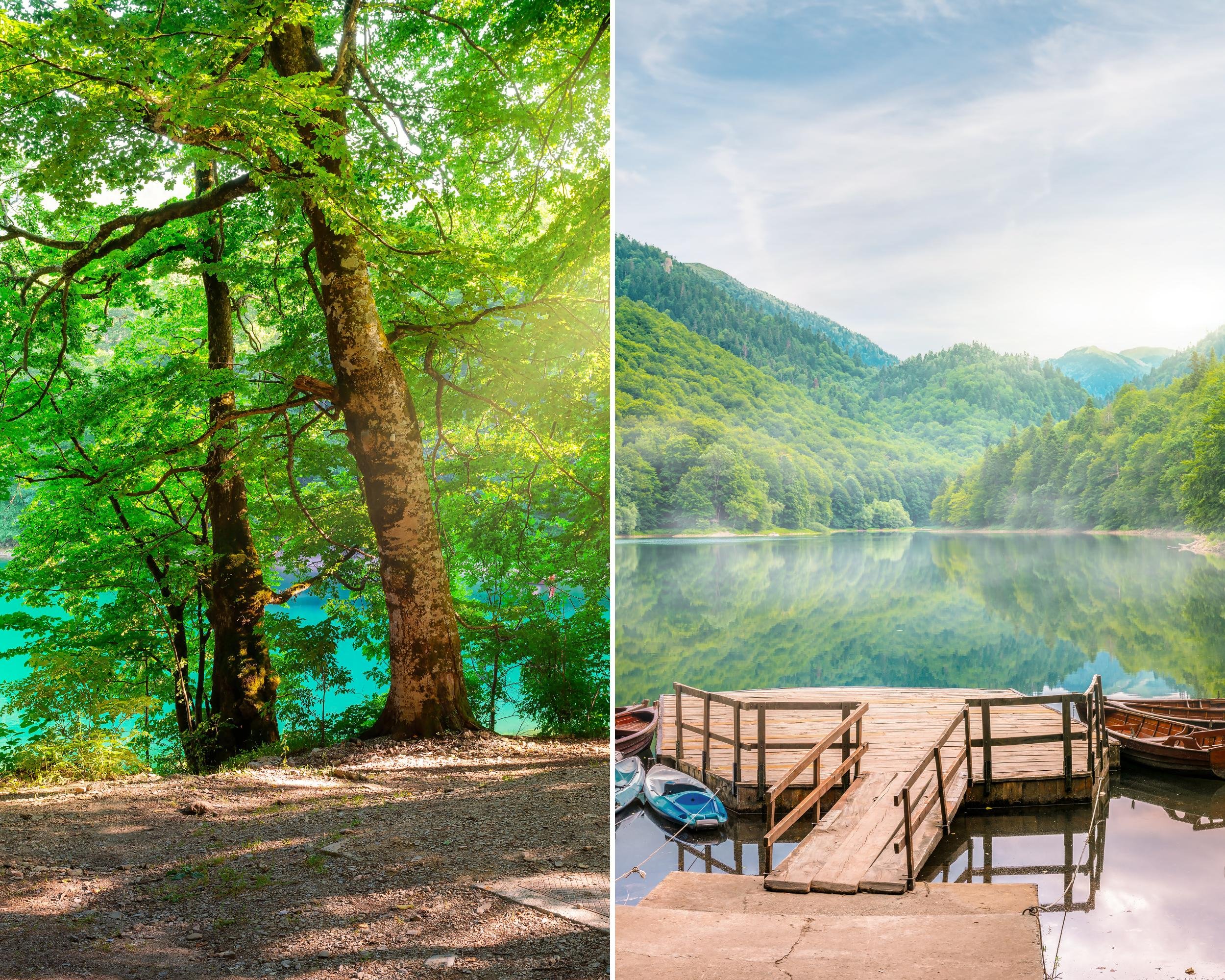 Biogradska Gora National Park 101: All you need to know — Caeli travel ...