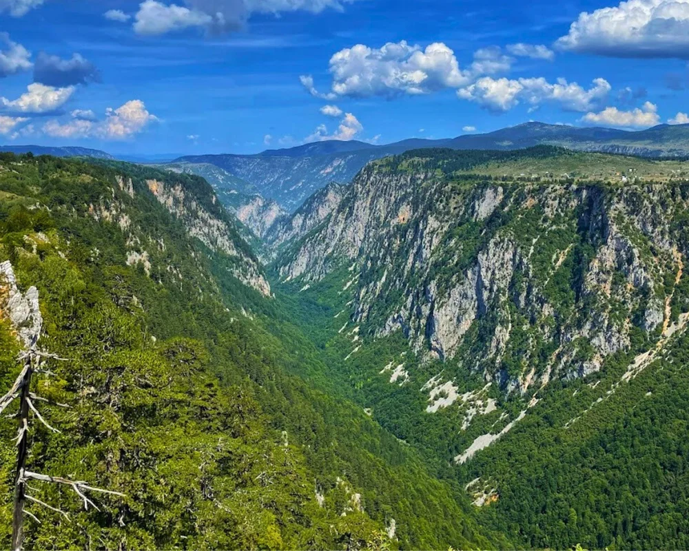 8 most incredible canyons of Montenegro — Caeli travel | Montenegro ...