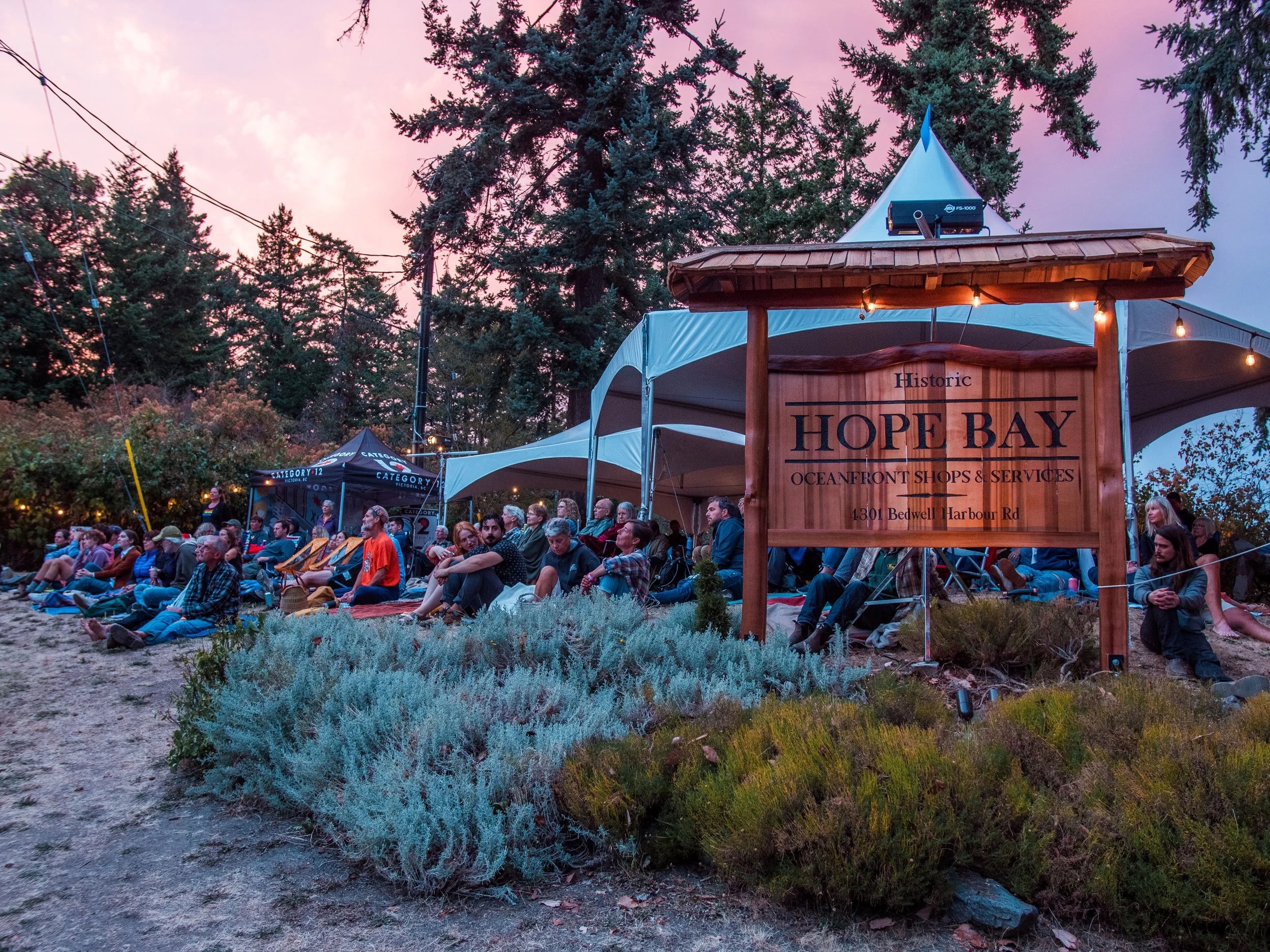 Get to Know Mosaic Festival — Mosaic Arts & Culture Festival