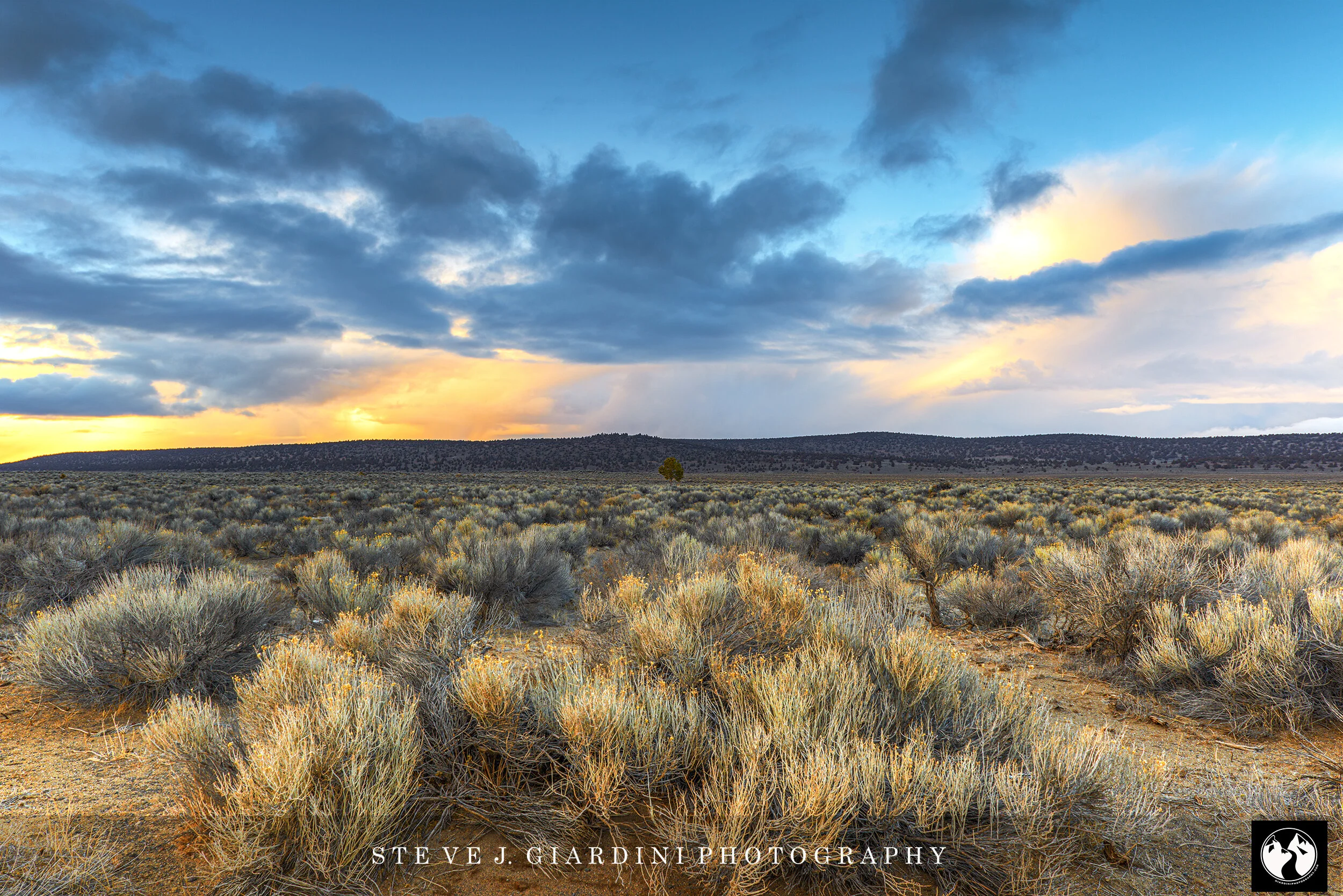 High Desert