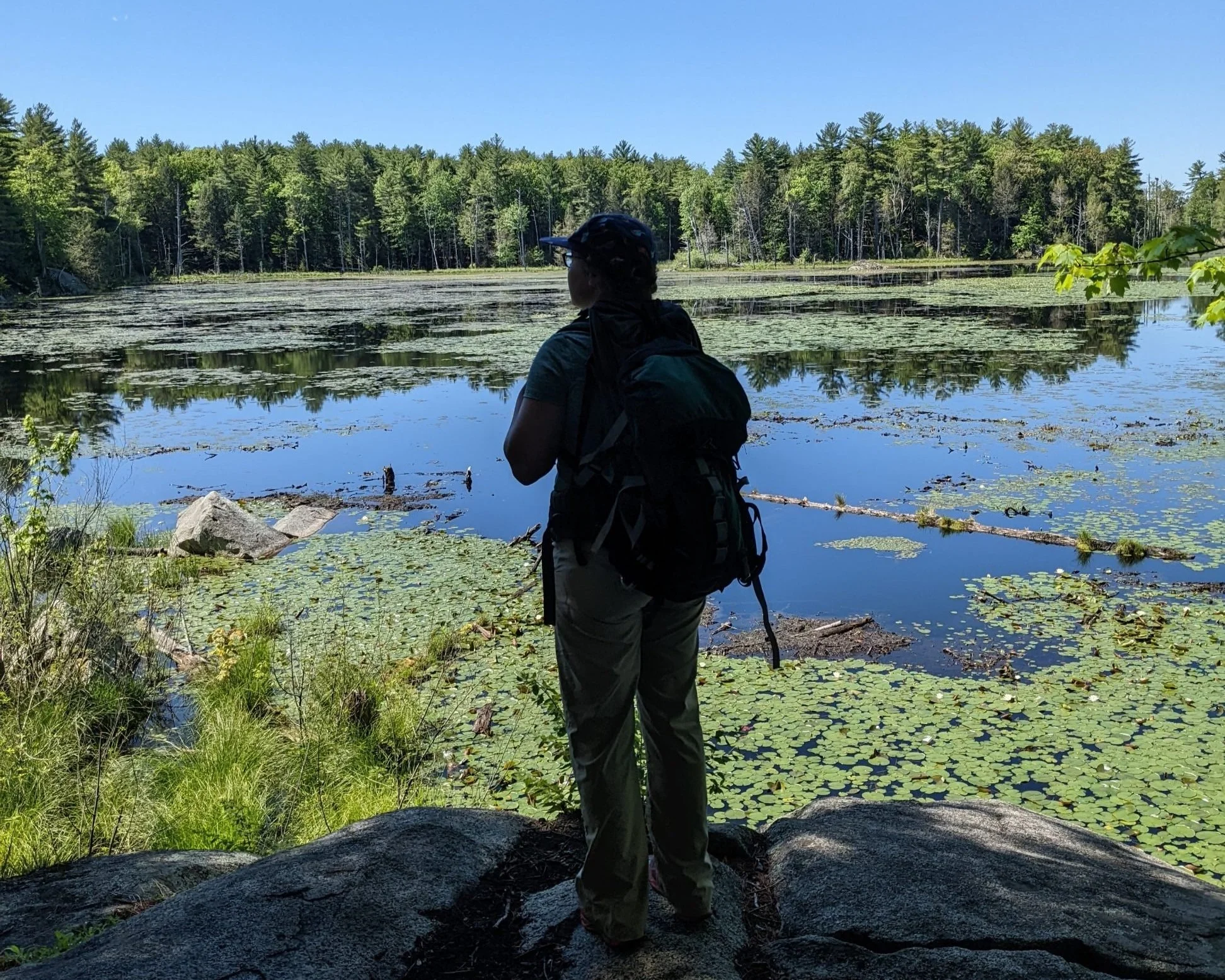 Hiking in New England: 15 Trails for Nature-Lovers of All Levels ...