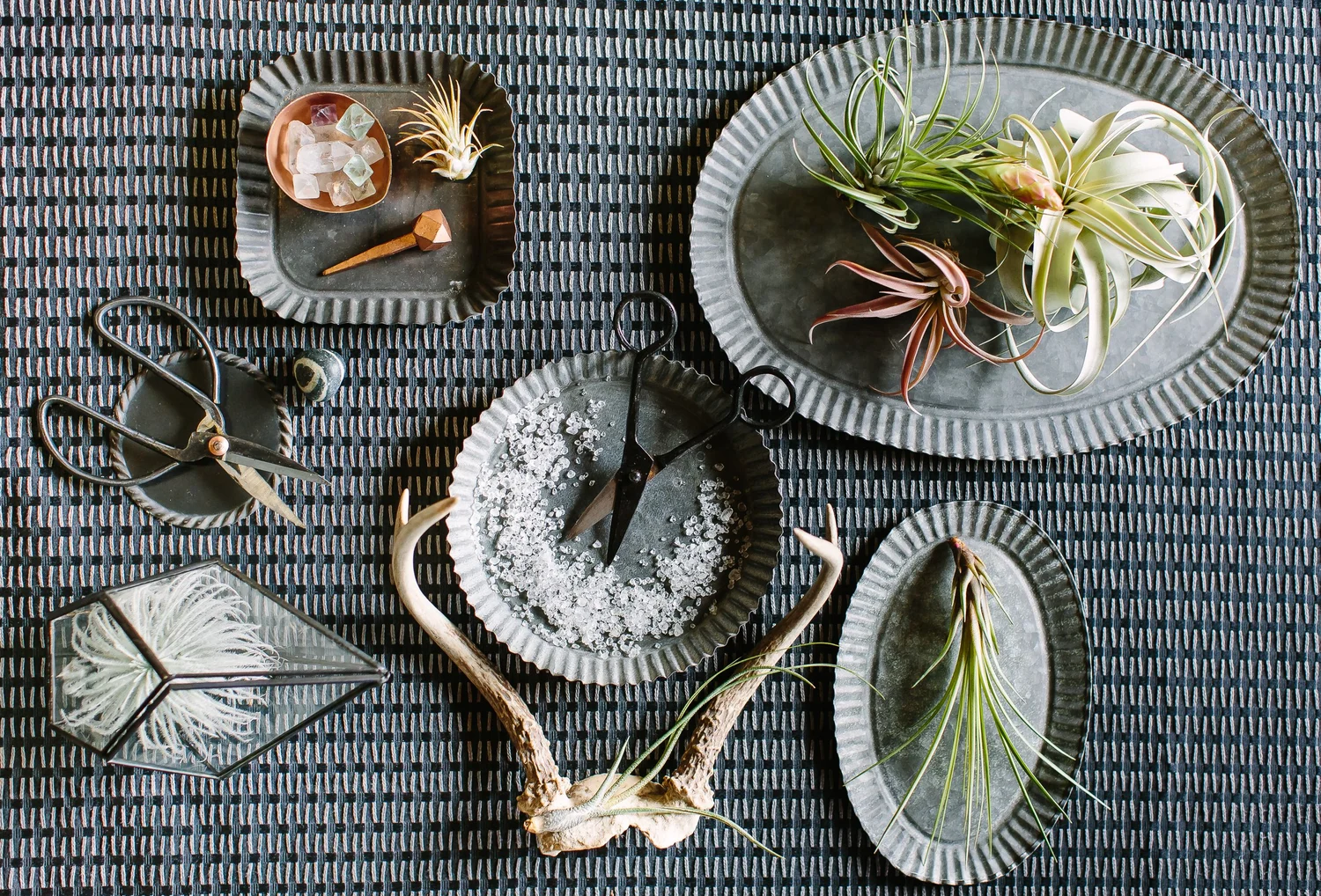 Bay Area Brand Photographer Portfolio — Bay Area Brand Photographer ...