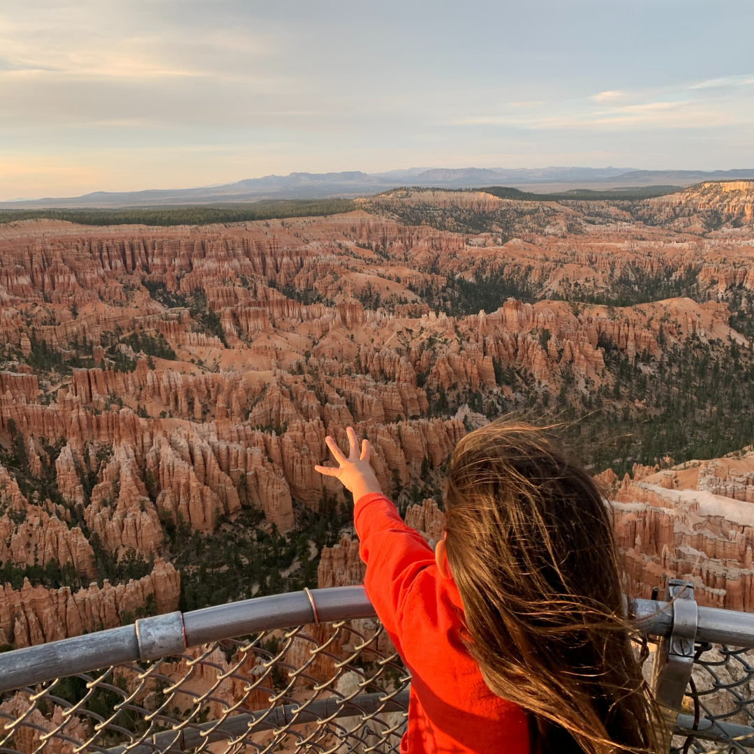 contact us — whereabout travel co.