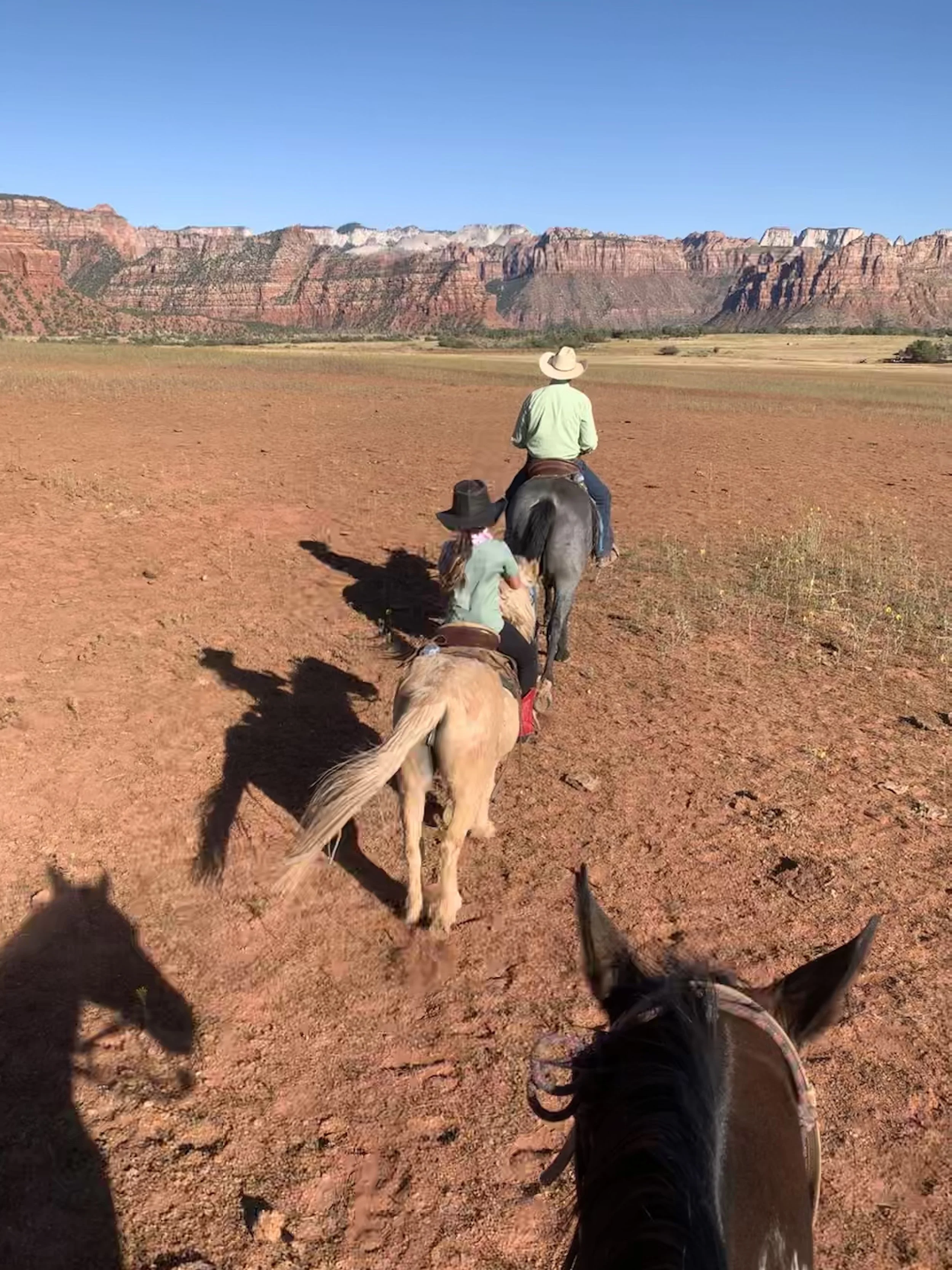 whereabout travel co.