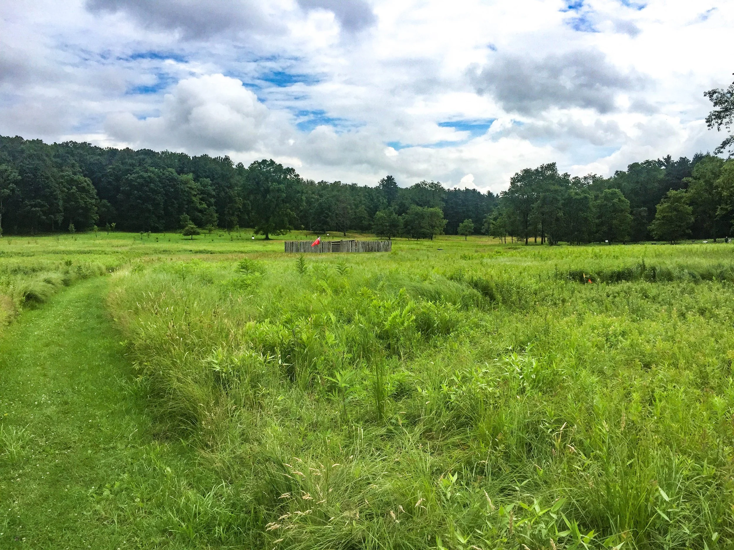 Fort Necessity — The New Pittsburgh Exposition