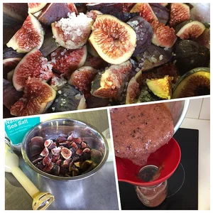 Fermented Fig Recipe — Holistic Lifestyler | Bunbury Chiropractic ...