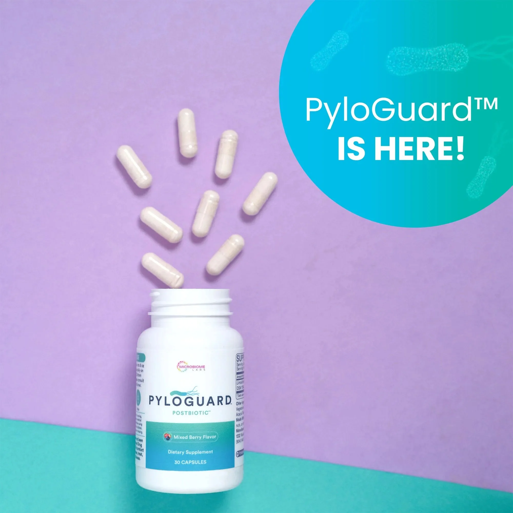 PyloGuard by Microbiome Labs: Enhance Gut Health with L. reuteri ...