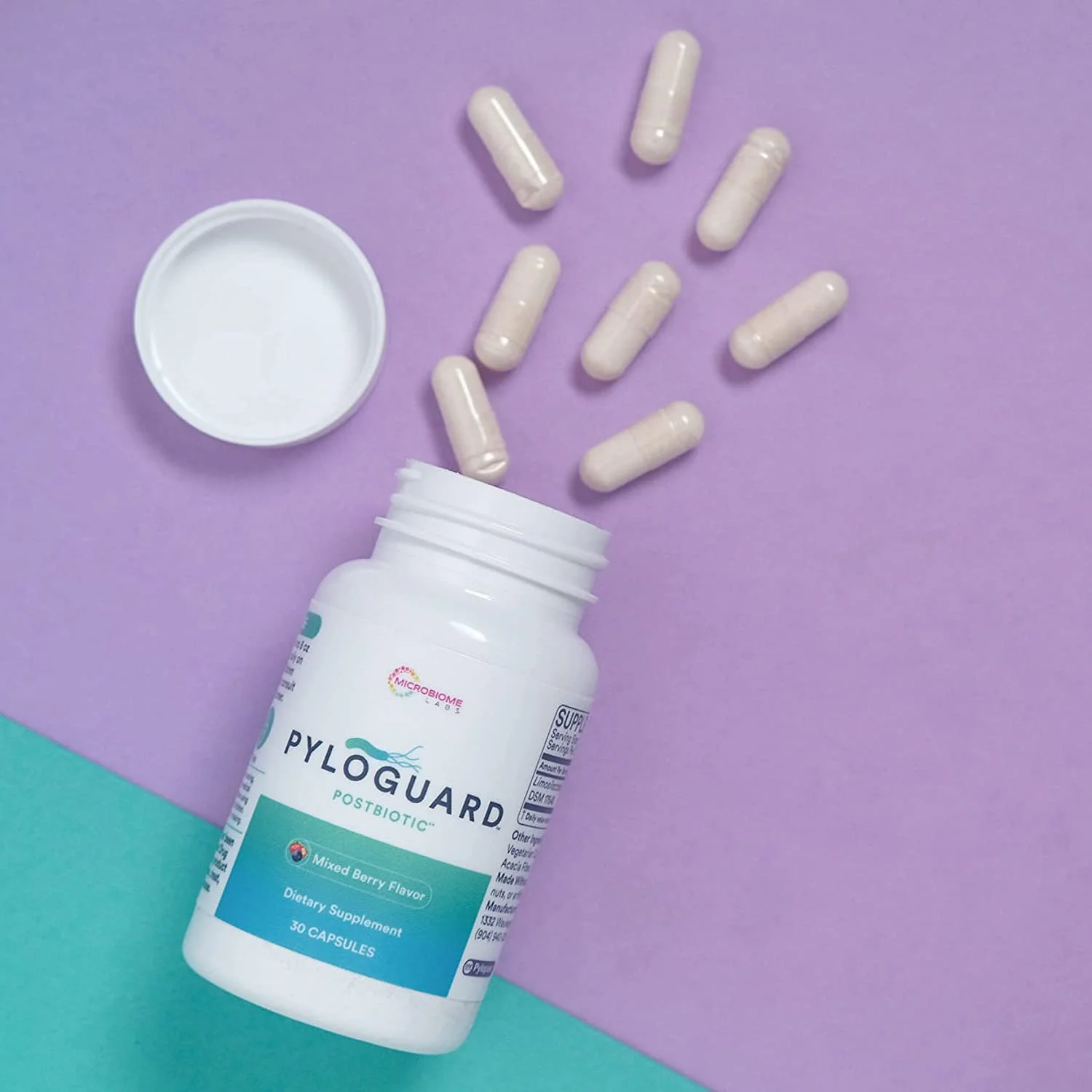 PyloGuard by Microbiome Labs: Enhance Gut Health with L. reuteri ...