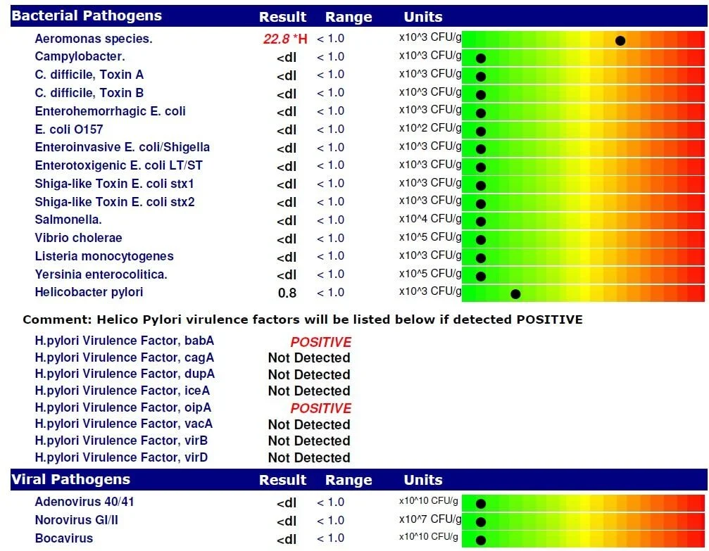 Complete Microbiome Testing Australia — Holistic Lifestyler | Bunbury ...