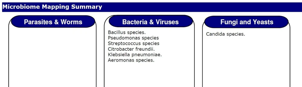 Complete Microbiome Testing Australia — Holistic Lifestyler | Bunbury ...