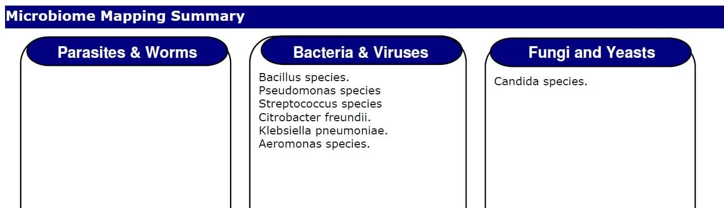 Complete Microbiome Testing Australia — Holistic Lifestyler | Bunbury ...