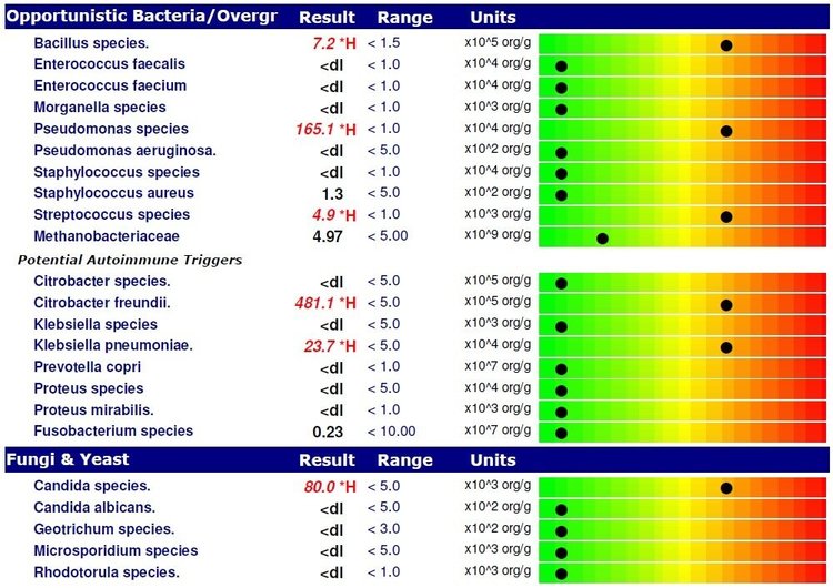 Complete Microbiome Testing Australia — Holistic Lifestyler | Bunbury ...