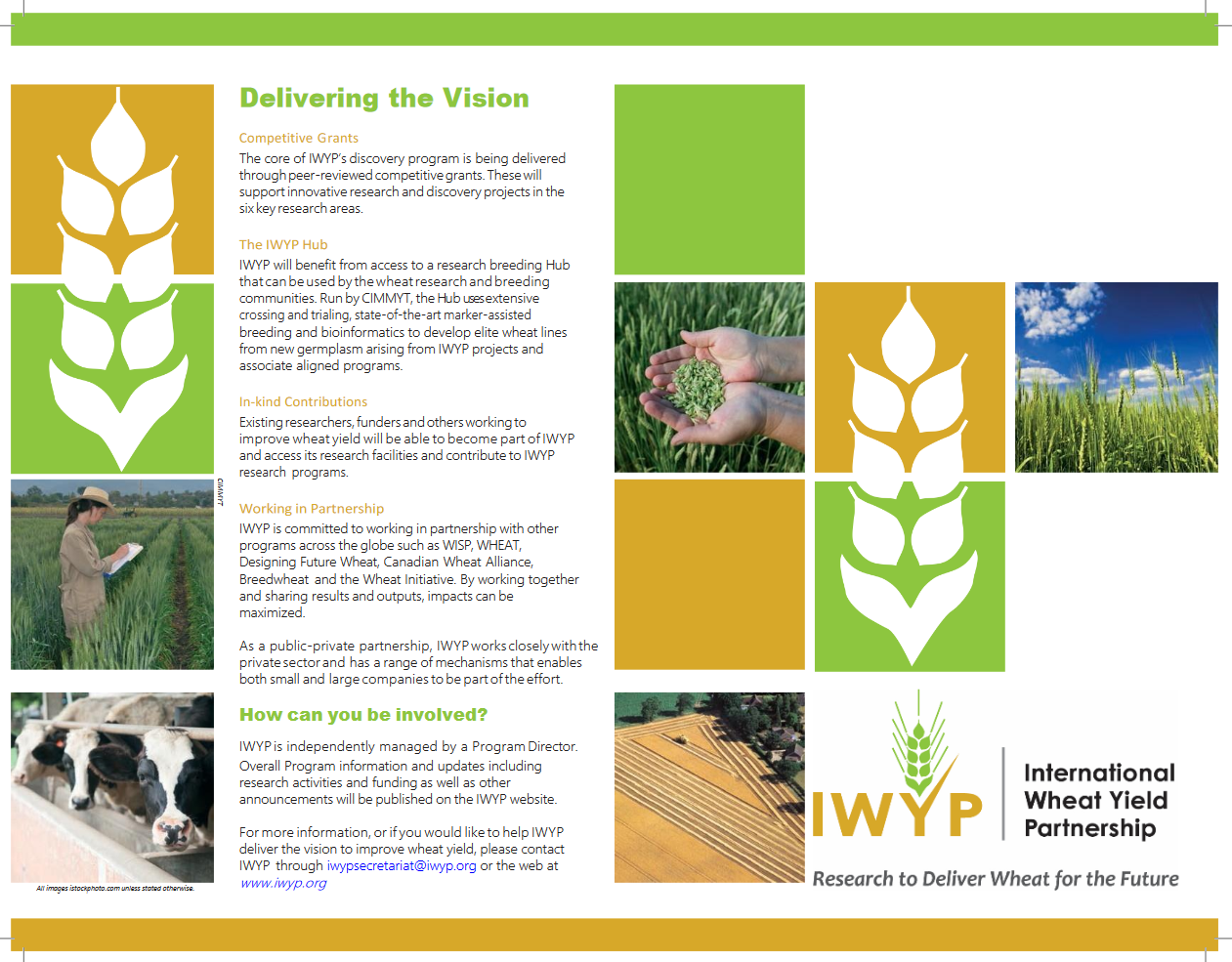 IWYP — Wheat initiative