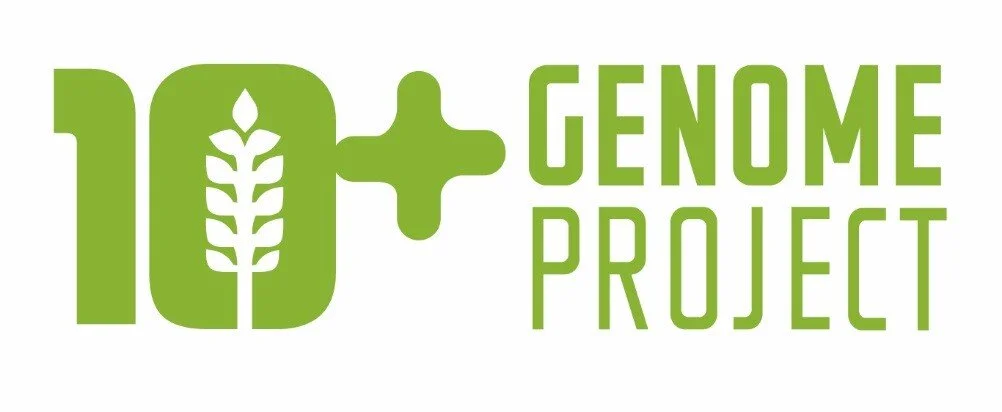 10+ WHEAT GENOME PROJECT — Wheat initiative