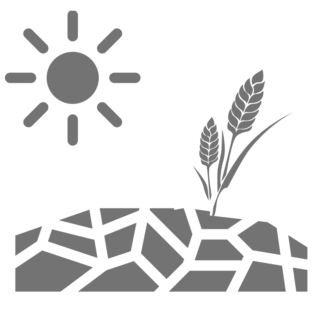 Wheat initiative