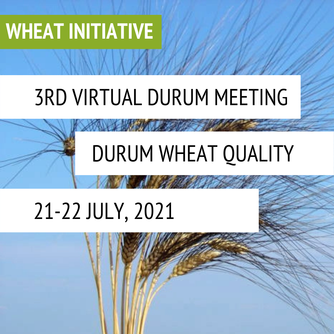 Find here the Wheat Initiative's workshops, Expert Working Group ...