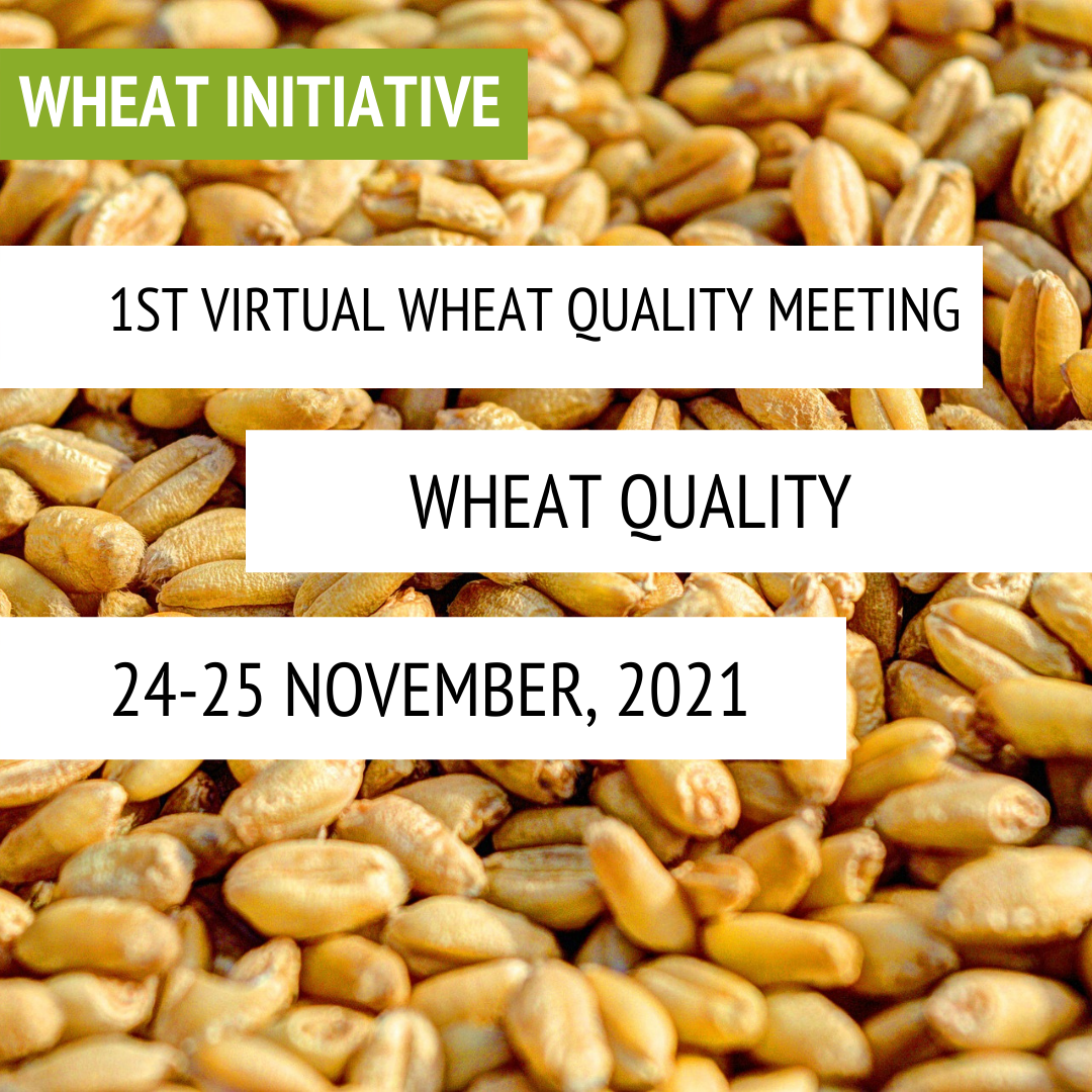 Find here the Wheat Initiative's workshops, Expert Working Group ...